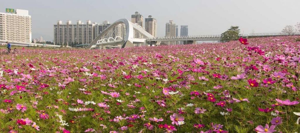 Visiting Taiwan in Spring, Part 1 | Visit Taiwan with Life of Taiwan