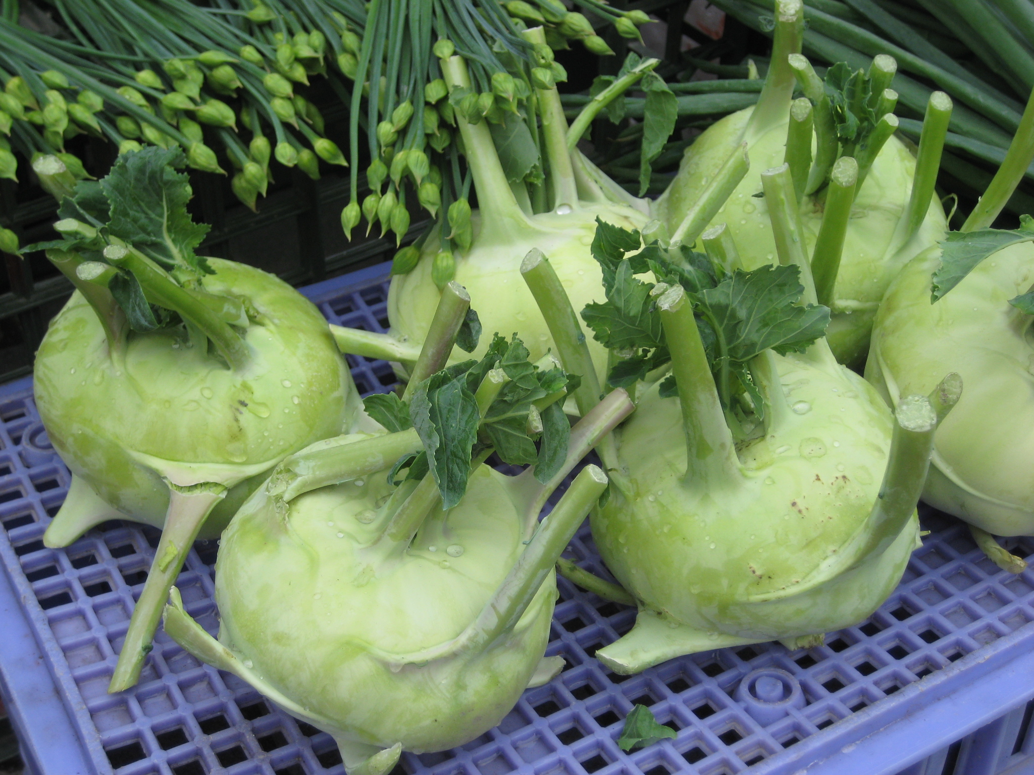 Exploring Taiwan's Rich Variety of Local Vegetables - Life of Taiwan